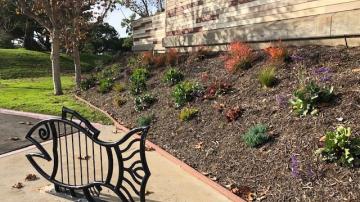 Dana Point Library | OC Public Libraries